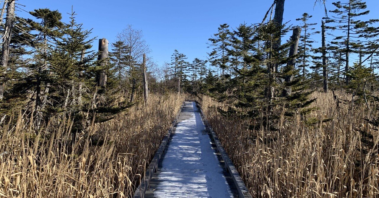 当たり前のことに感謝できるようになること｜Kenichi Aichi