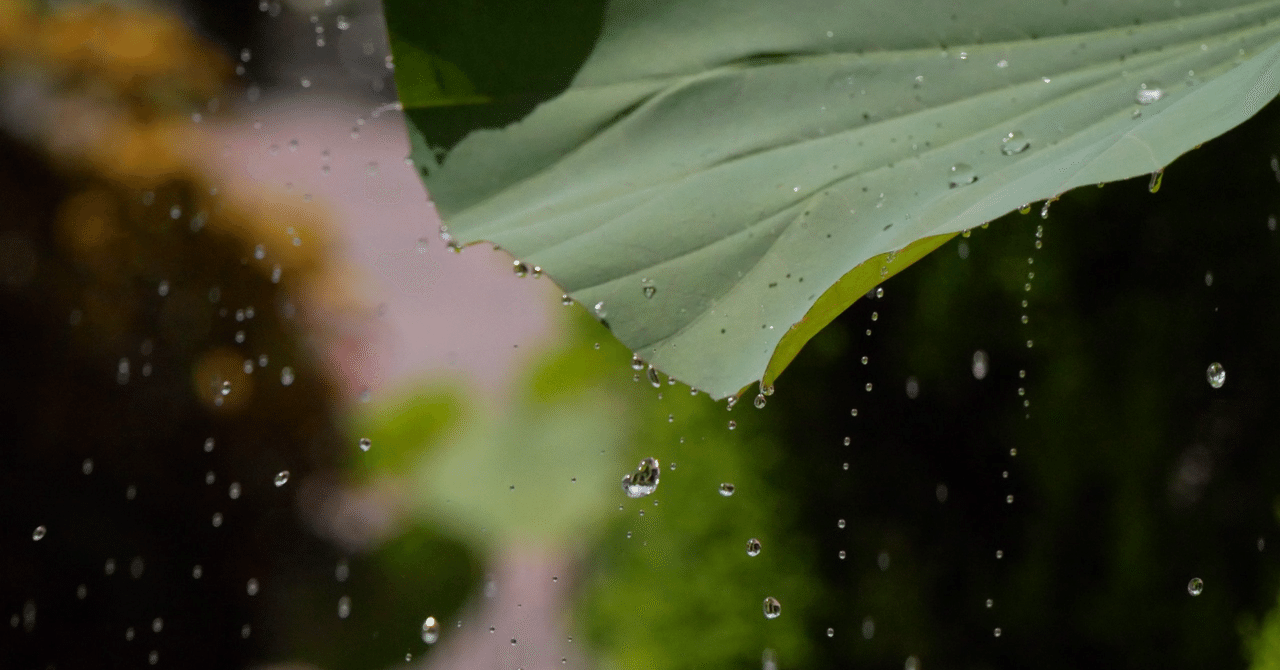 CAOアーキテクチャによる複雑系のモデル化｜katoshi