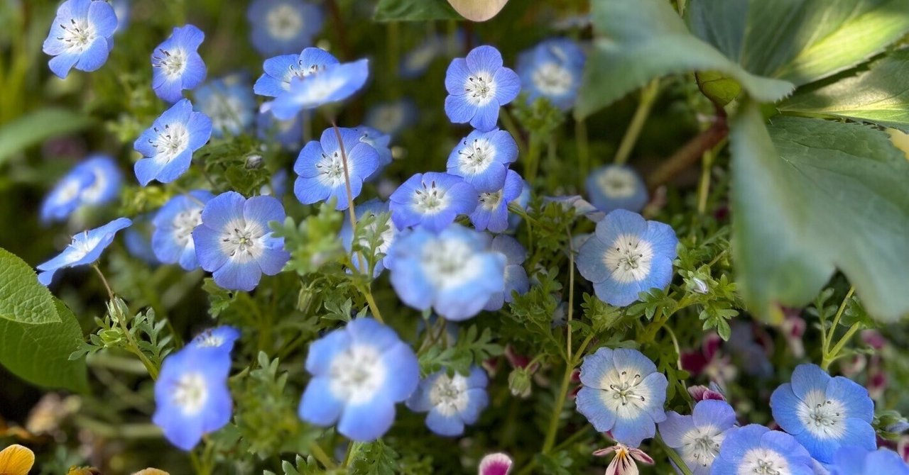 #07 【仕事】2023年は、前半から後半へ飛躍できた一年でした｜aurinko⭐経験は宝物⭐