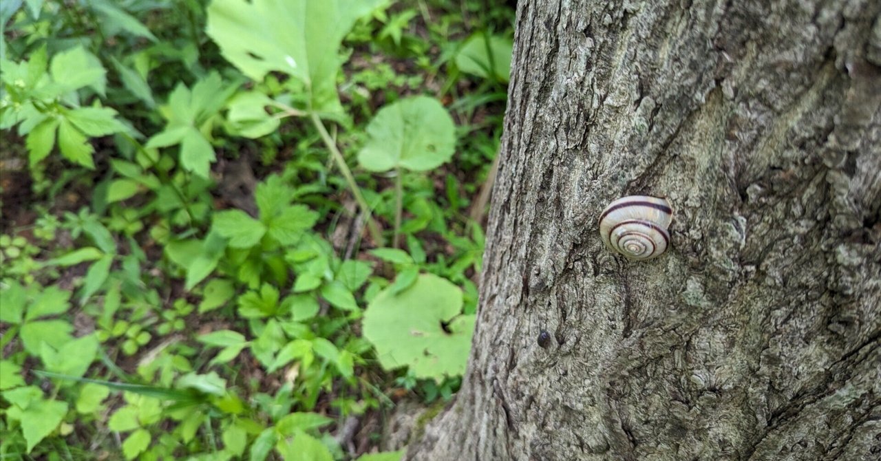 言葉を組み立てることと言葉で思考する事｜Dala Space ひろこ