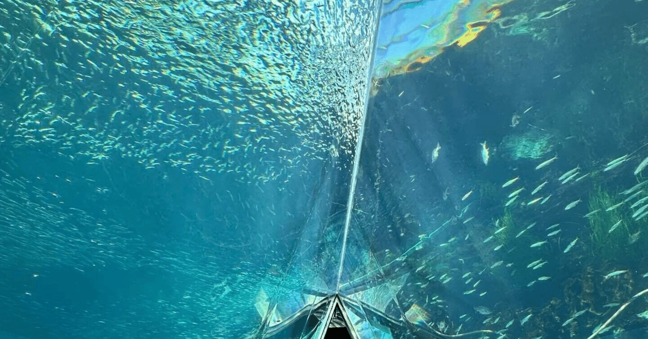 2023年極私的アイドルソング振り返りプレイリスト｜NCTRN