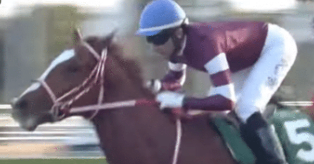 ホープフルステークス No.2｜shige