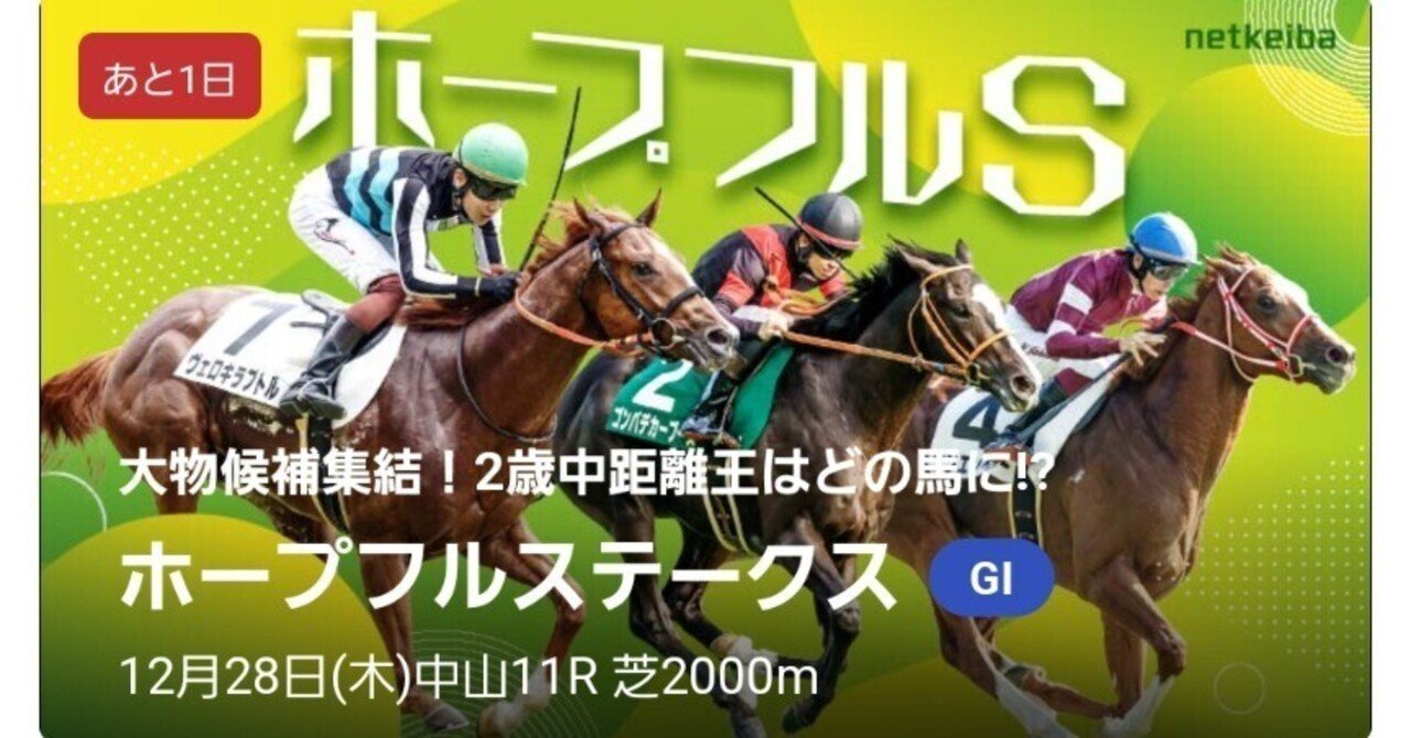 1228木🔥g1勝負レース🔥【中山11r ホープフルs】難しいメンバーだが本命から勝負。この馬が強いだろ。【魂の勝負r】【勝負r①
