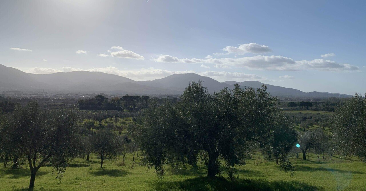 思いは、いろいろ｜OTA YUKI