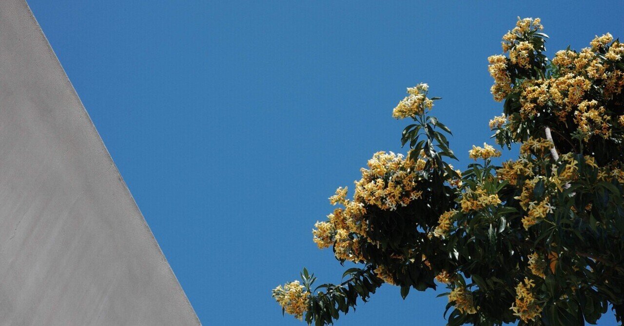 Self introduction Nothing ism English ver｜Koki Ono