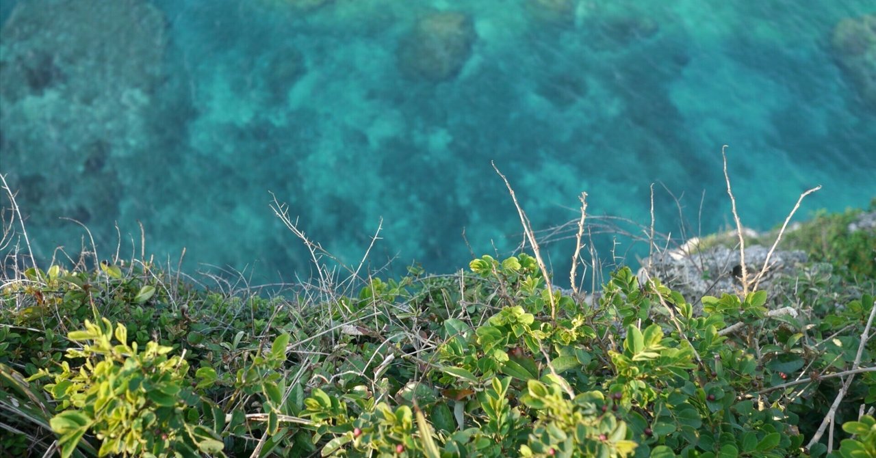 Kohei Kamiyama｜note