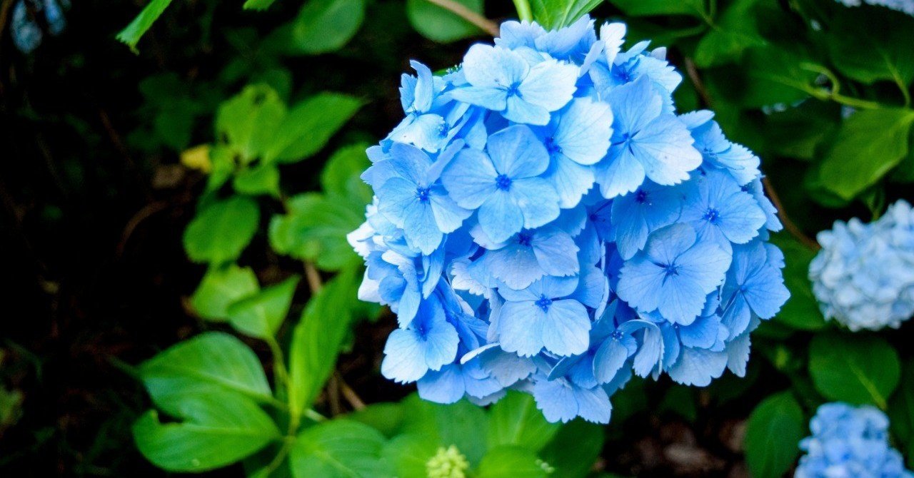 やっぱり書いたり描いたりしている自分がすきだ。｜つきしま