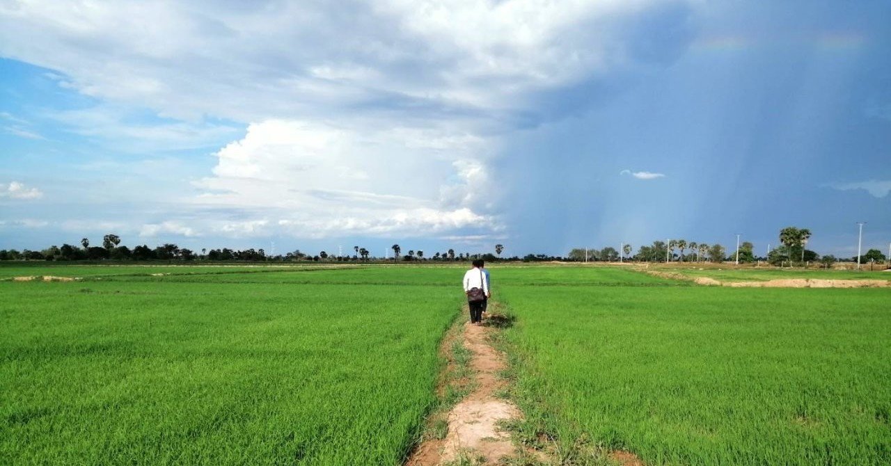 インターン生の声【第7稿】（ヒオキ）｜AGRIBUDDY🇰🇭🇮🇳カンボジア発のフィンテックベンチャー