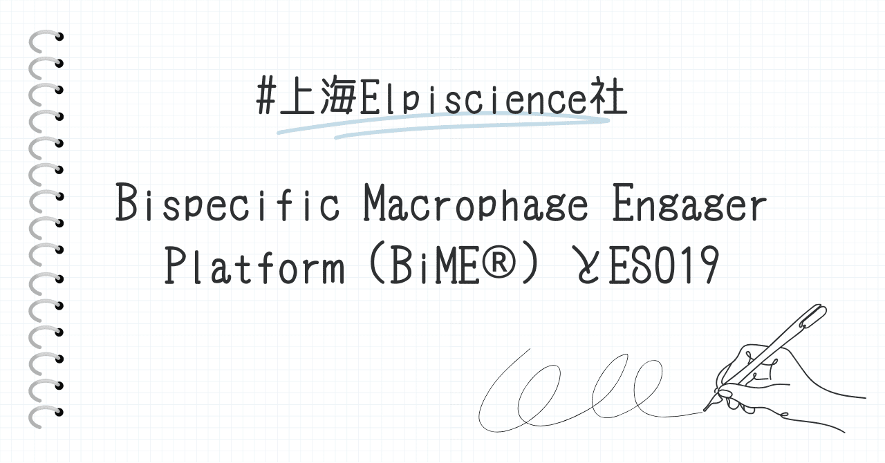 Bispecific Macrophage Engager Platform（BiME®）とES019（上海Elpiscience社 ...