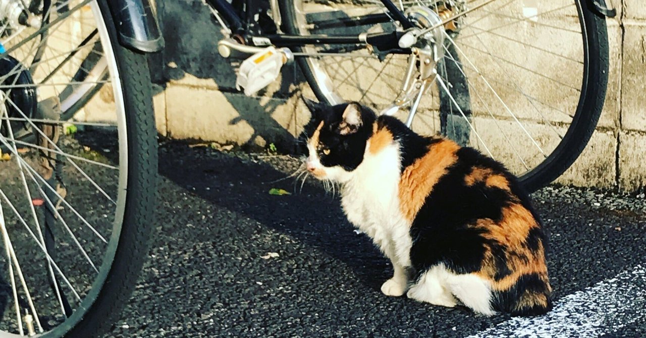 【句作_08】たんじつに｜Mk_Hayashi