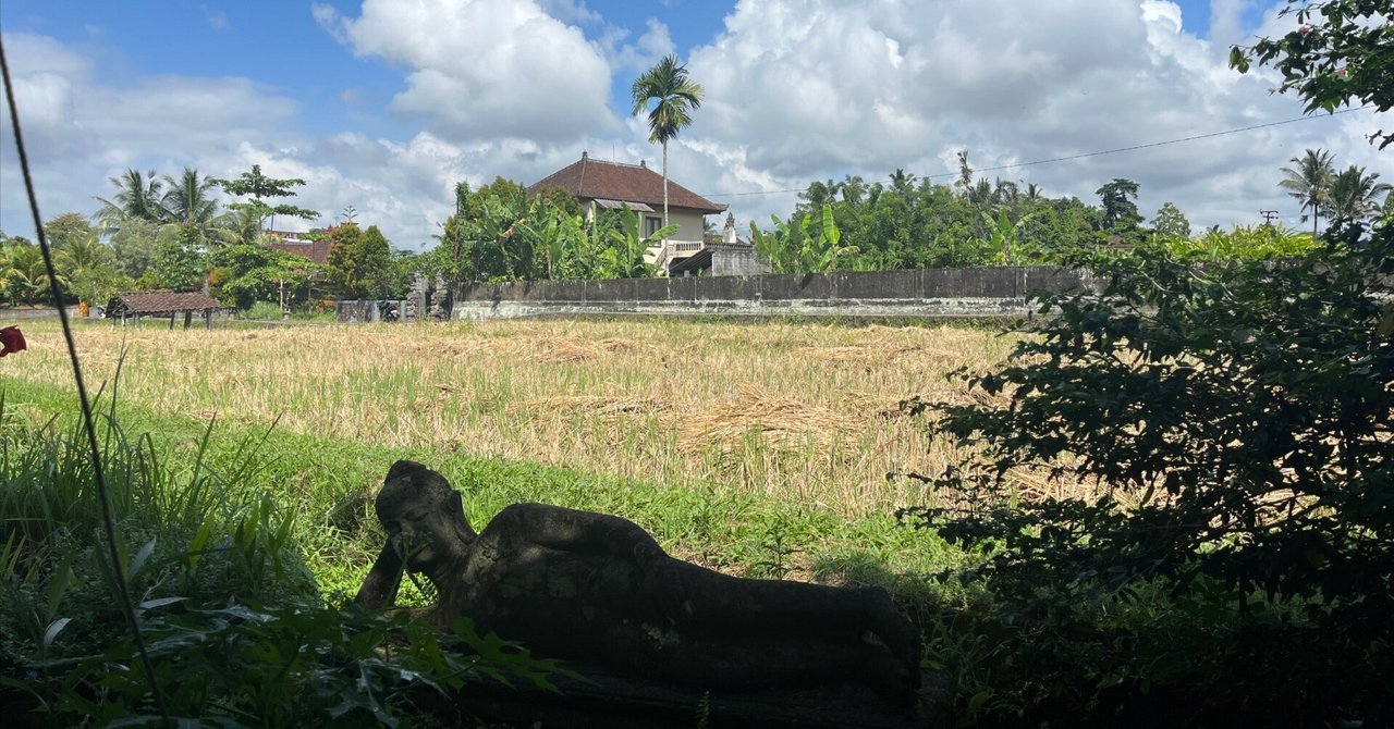 awai Sou / 佐藤 草 ともにいのちを生きる｜note