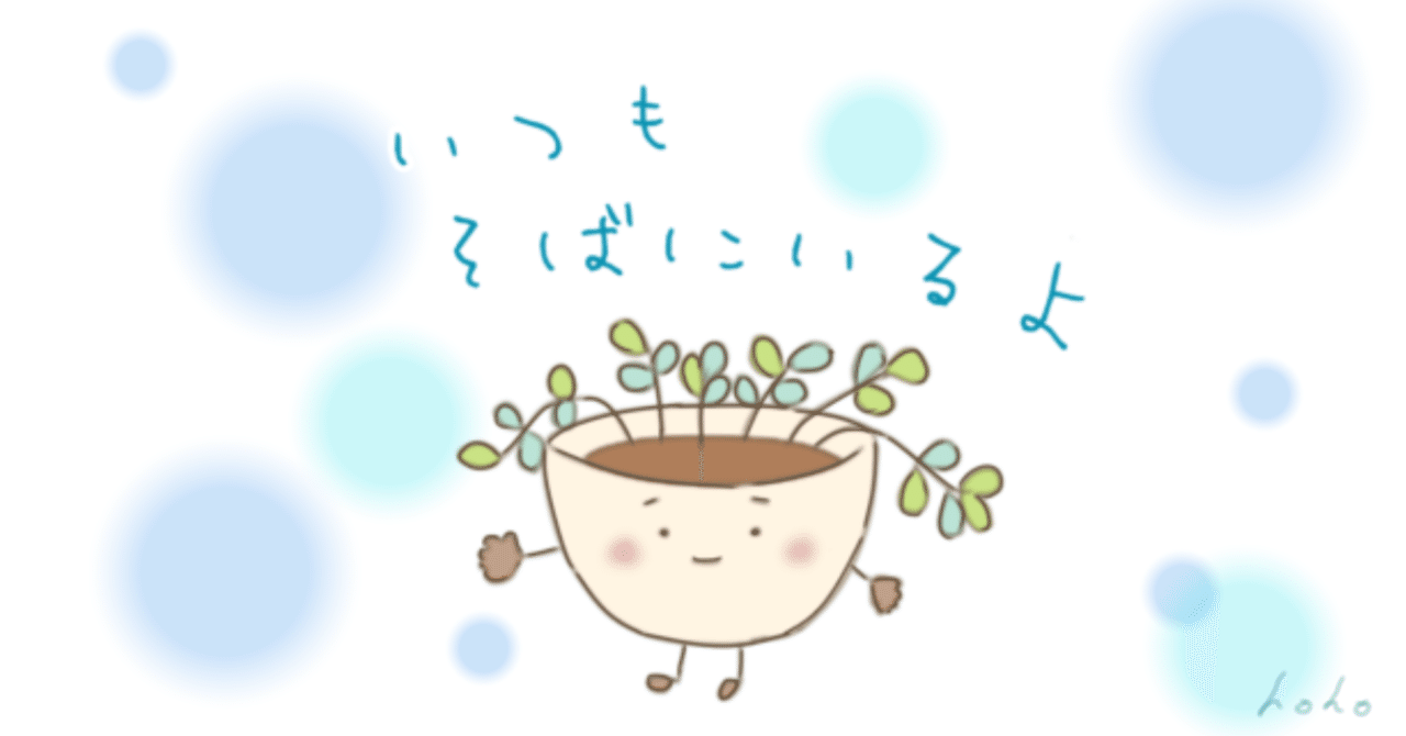 今朝の感謝♪2023.12.30♪｜karin