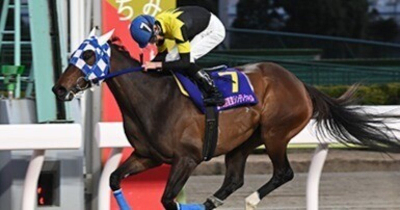 【大井👊激熱穴馬🔥勝負レース👊🔥】1230(土)【10r】東京シンデレラマイル競走(s3)(発走時刻1630)|さやだま