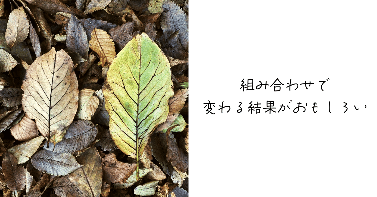 前例がないなら、どこまでもベランダに特化することにこだわるぞ。｜Ms'HIRO