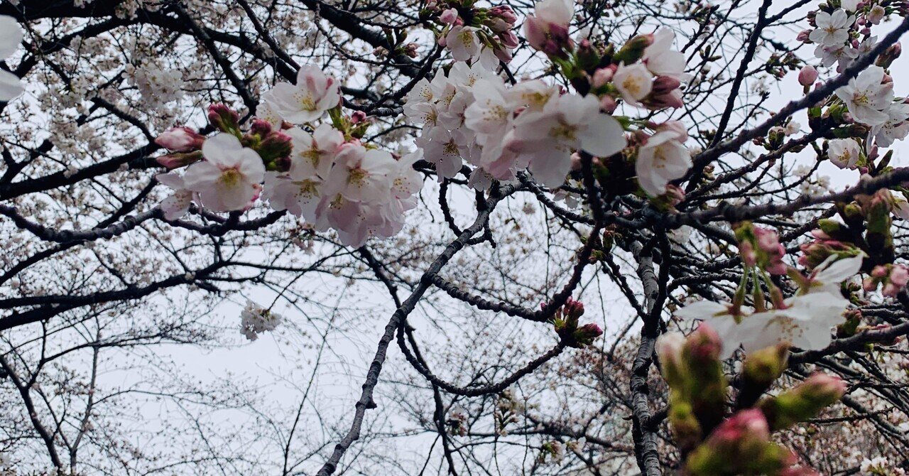 振り返る2023(前編)｜yamome shima