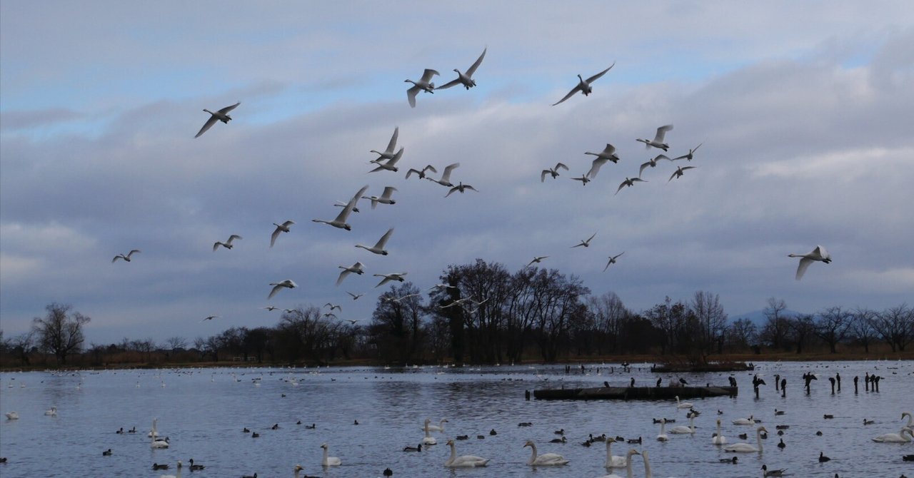 僕の2023年｜toru-suyama
