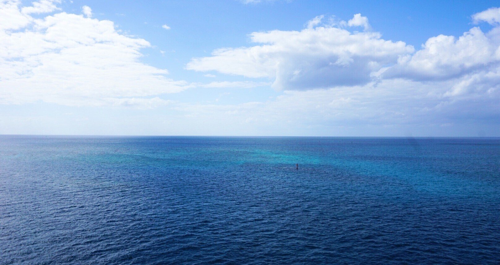 廣田 諒｜HIROTA RYO｜note