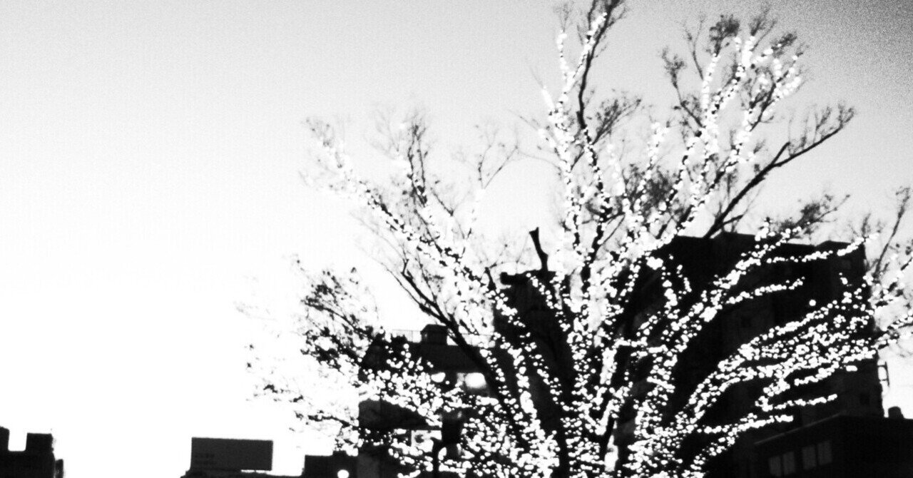 徒然 2023/12/25〜12/31｜Yuichi Shimizu