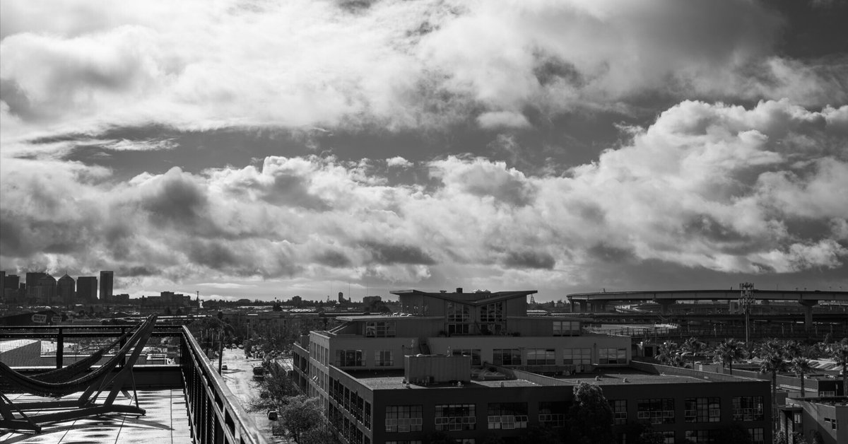 Zfを買いました｜helloryuji