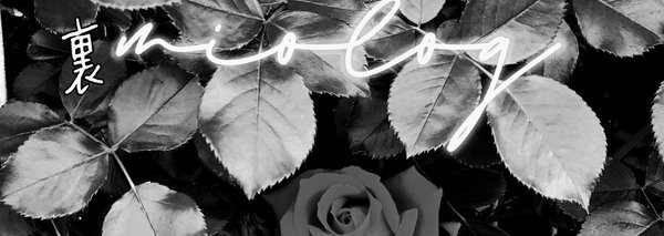 春原美桜(miosuhara)｜note