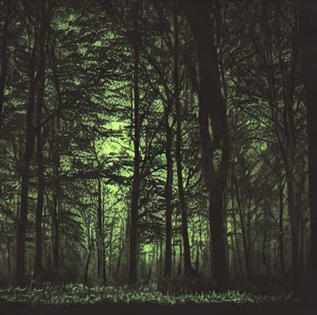 あけまして🙇‍♂️ 今年も何卒よろしくお願い申し上げます🎍｜silva_ration（シルヴァ・レイシオン）裏