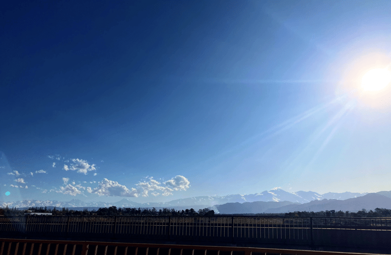 アルゼンチン滞在記録5｜小林萌里 Moeri Kobayashi