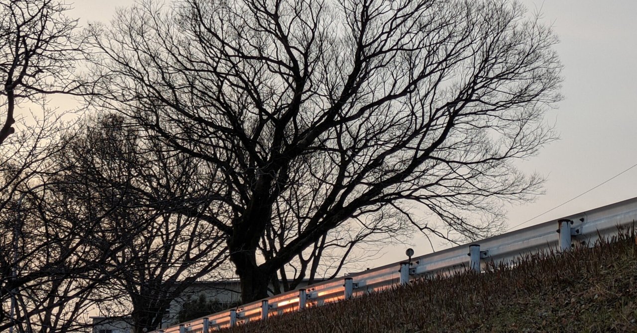 Mド調教⑩｜ichiro70