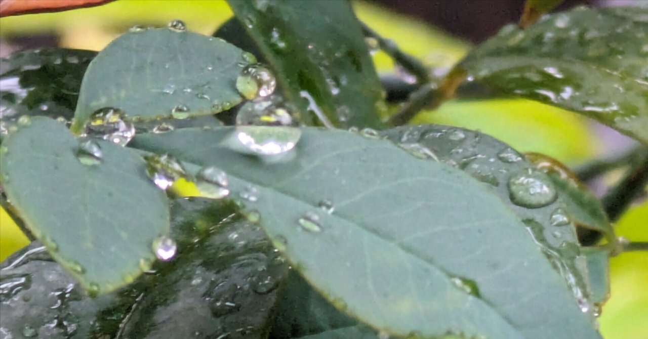 水滴美術館〜雨上がり｜ichiro70