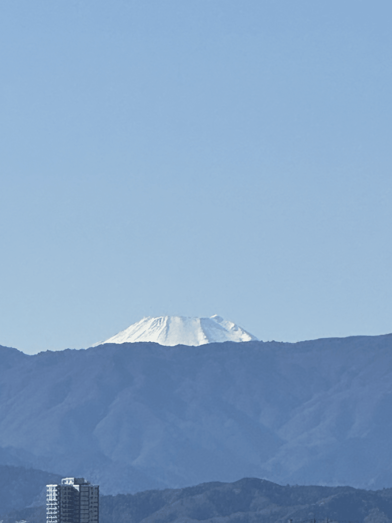 明けましておめでとうございます⛩ 今年も宜しくお願いします🙇｜Hide Shika【フォロバ100%🙇‍♂️】