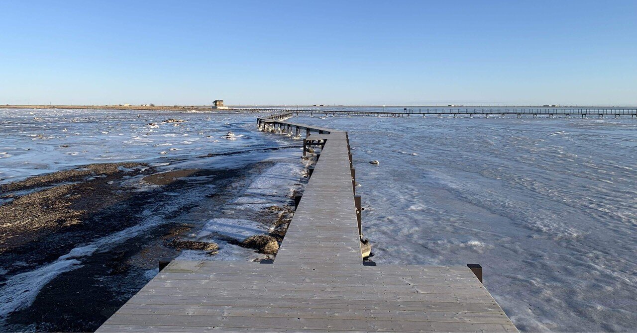 2024年をまずは生き残る｜Kenichi Aichi
