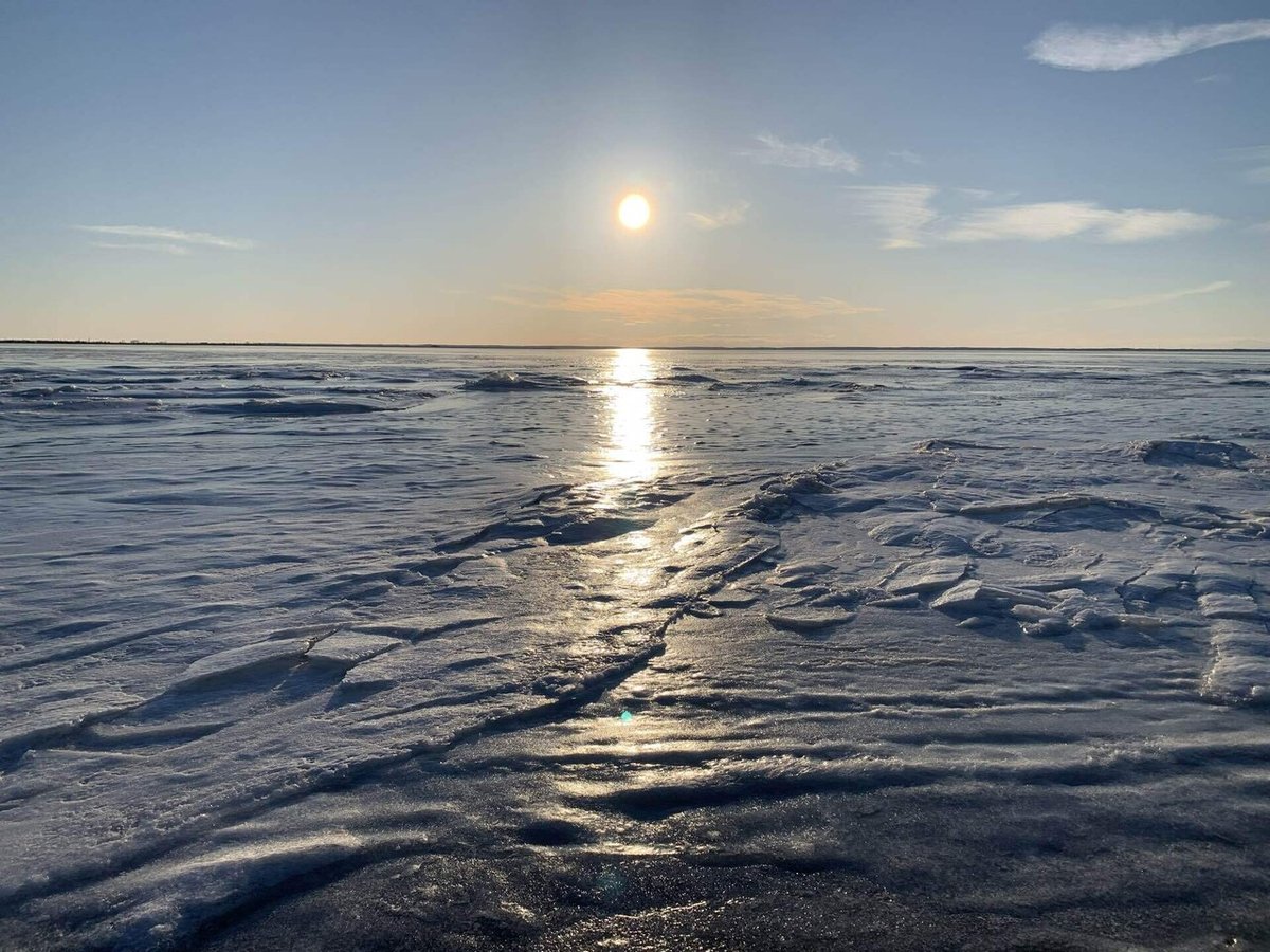 2024年をまずは生き残る｜Kenichi Aichi