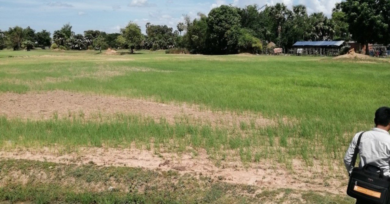 インターン生の声【第10稿】（ヒオキ）｜AGRIBUDDY🇰🇭🇮🇳カンボジア発のフィンテックベンチャー｜note