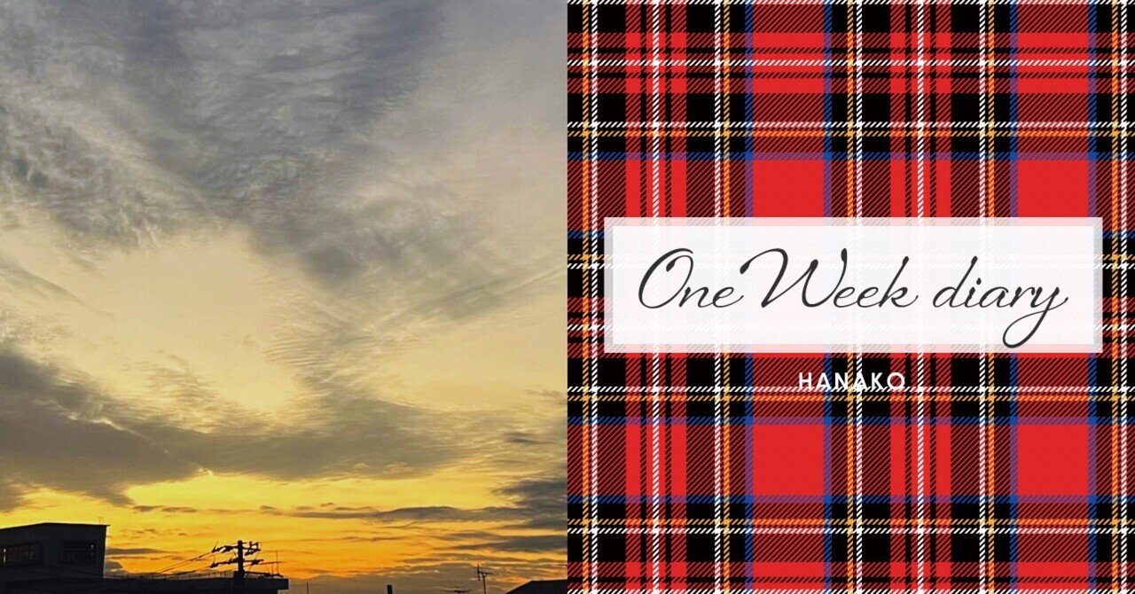 One Week diary 231224-｜はな湖 | HANAKO design & artworks