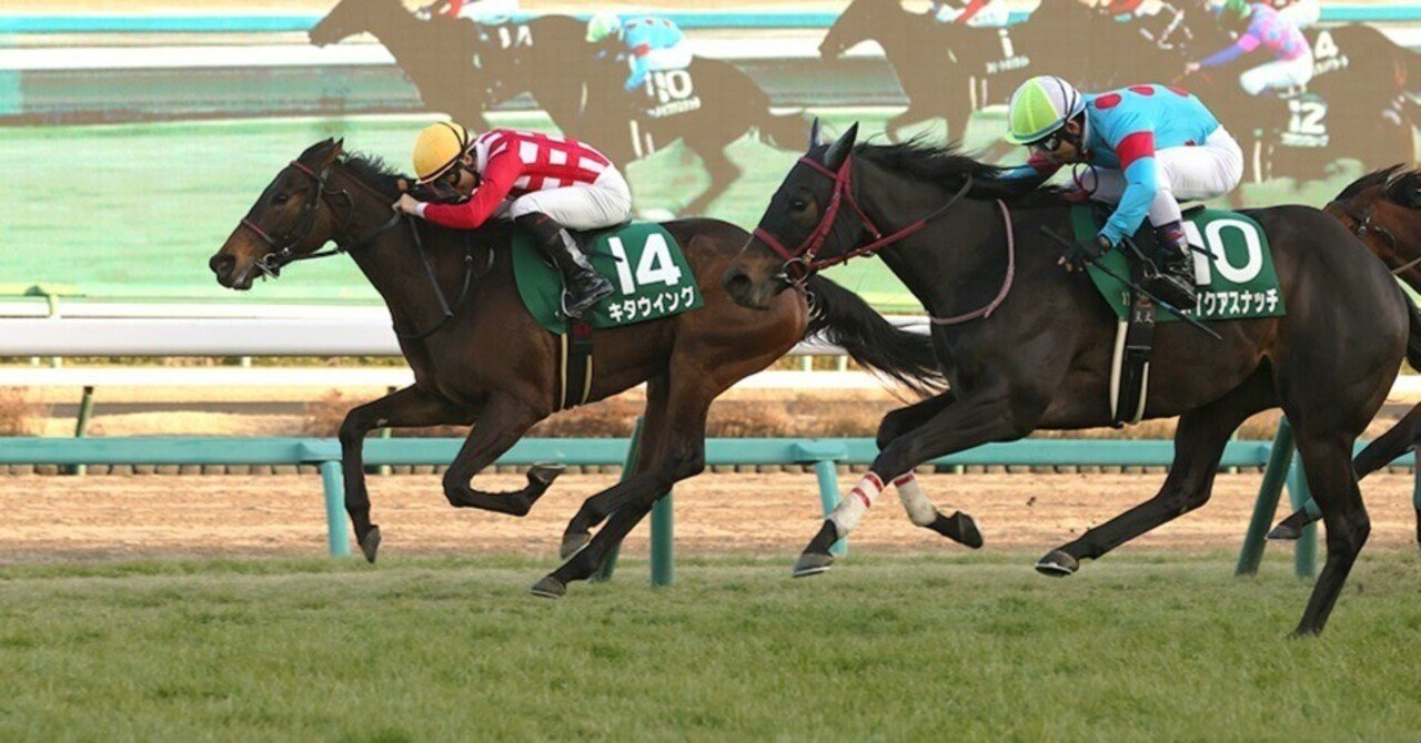 【2024 フェアリーS（G3）】徹底的に攻略データ篇｜Haya