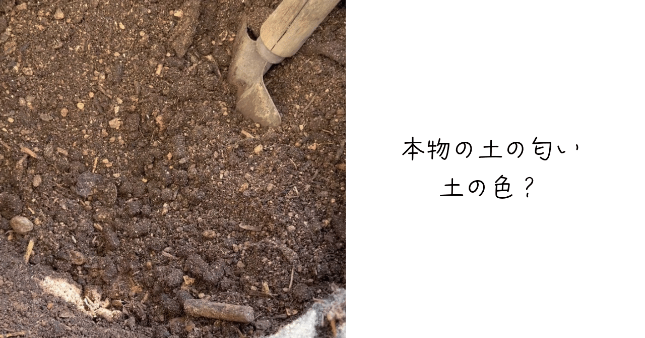 素人の考えが奇跡を起こすこともある。｜Ms'HIRO