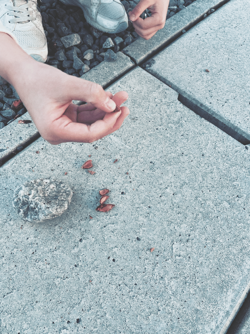 毎日投稿｜su_kana