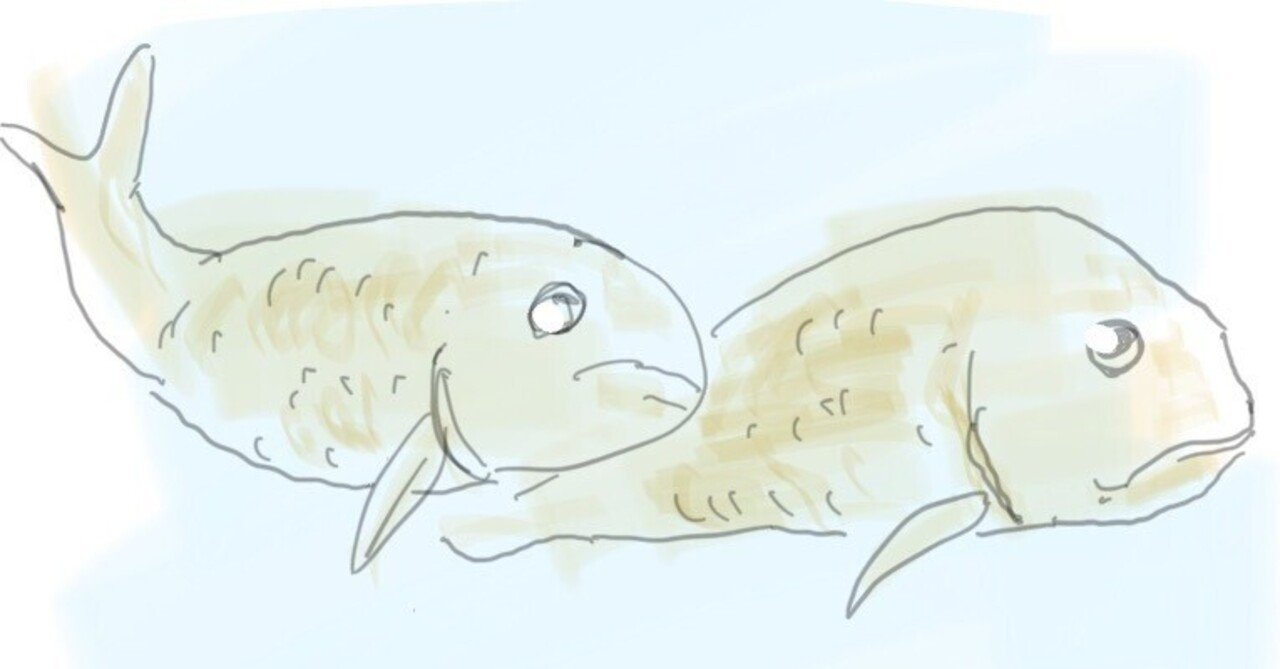 しんだ魚の目をしたまだ生きてる君へ｜Kazuko Hase