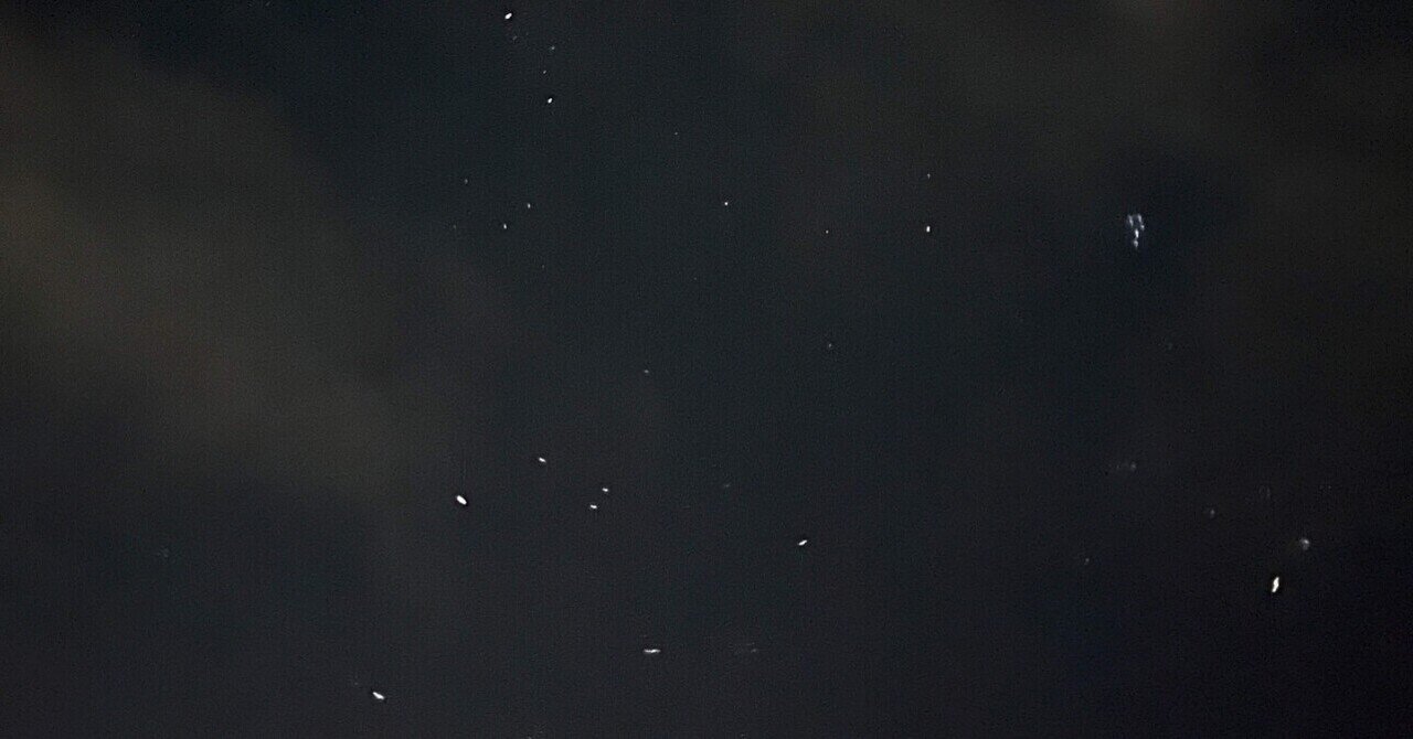 故郷にて｜shiho kazawa｜Shiho Product