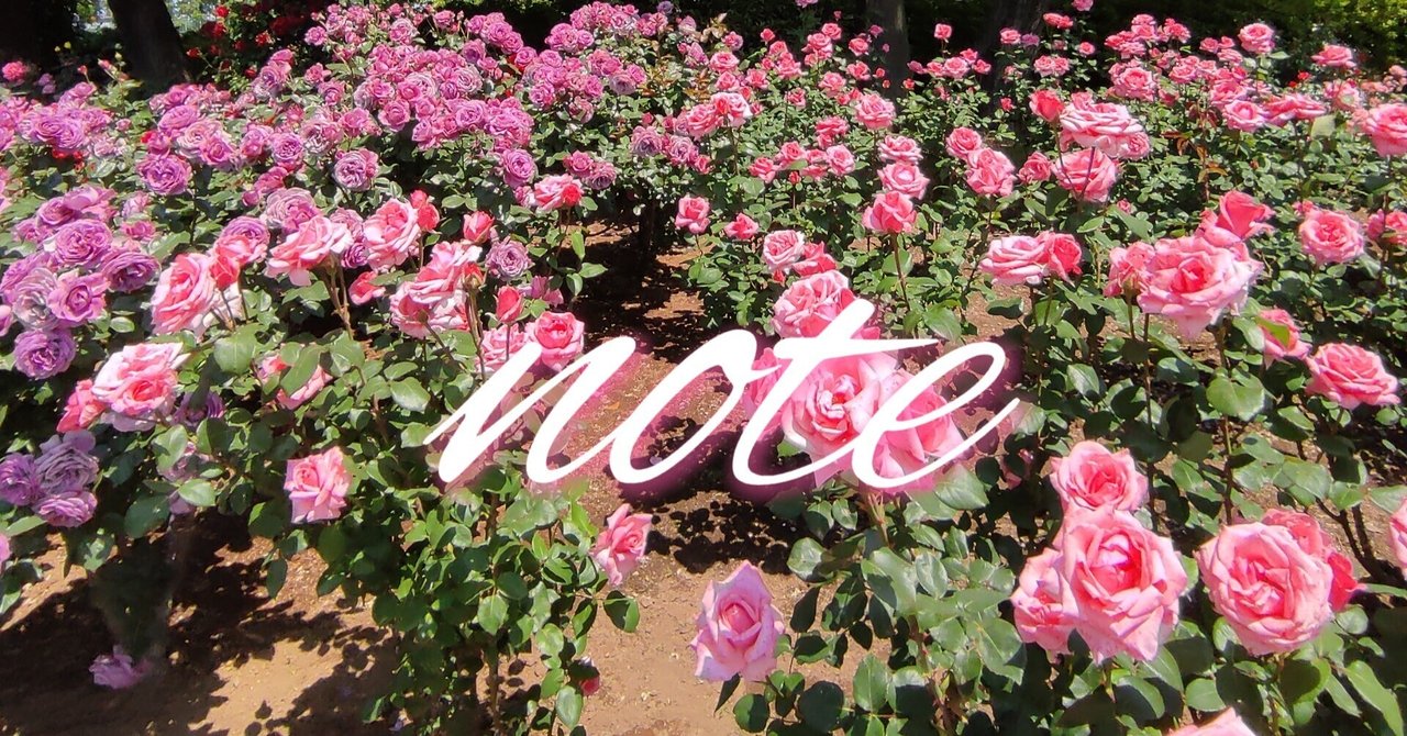 2024年 note抱負｜春原美桜(miosuhara)