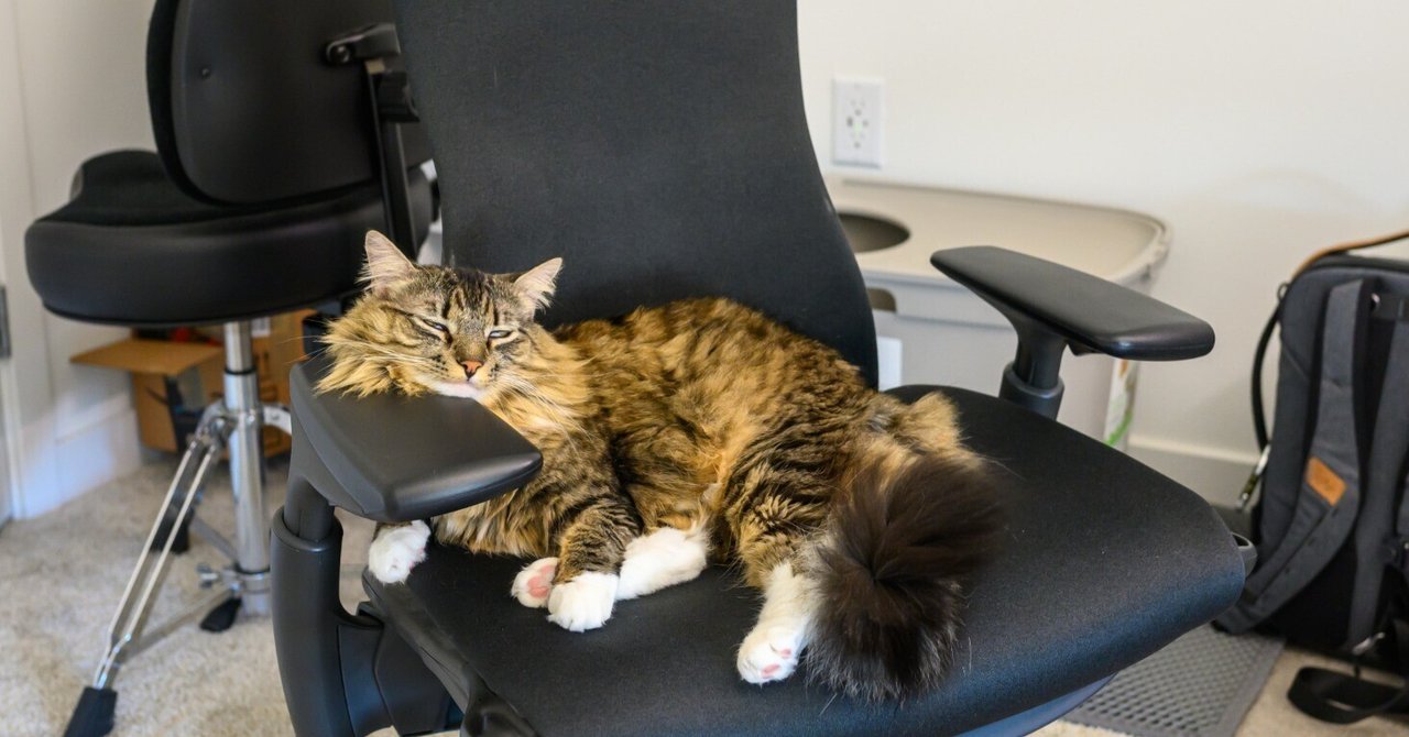 2024年1月2日｜helloryuji