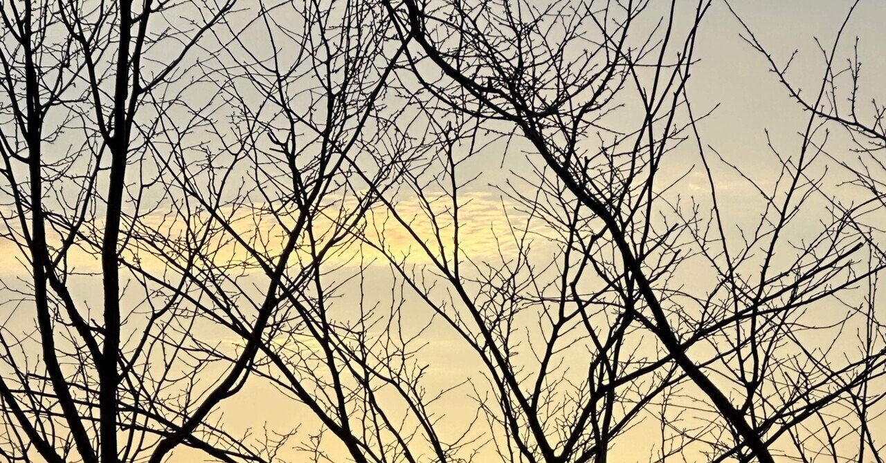 眠い日の朝｜tasty_elk647