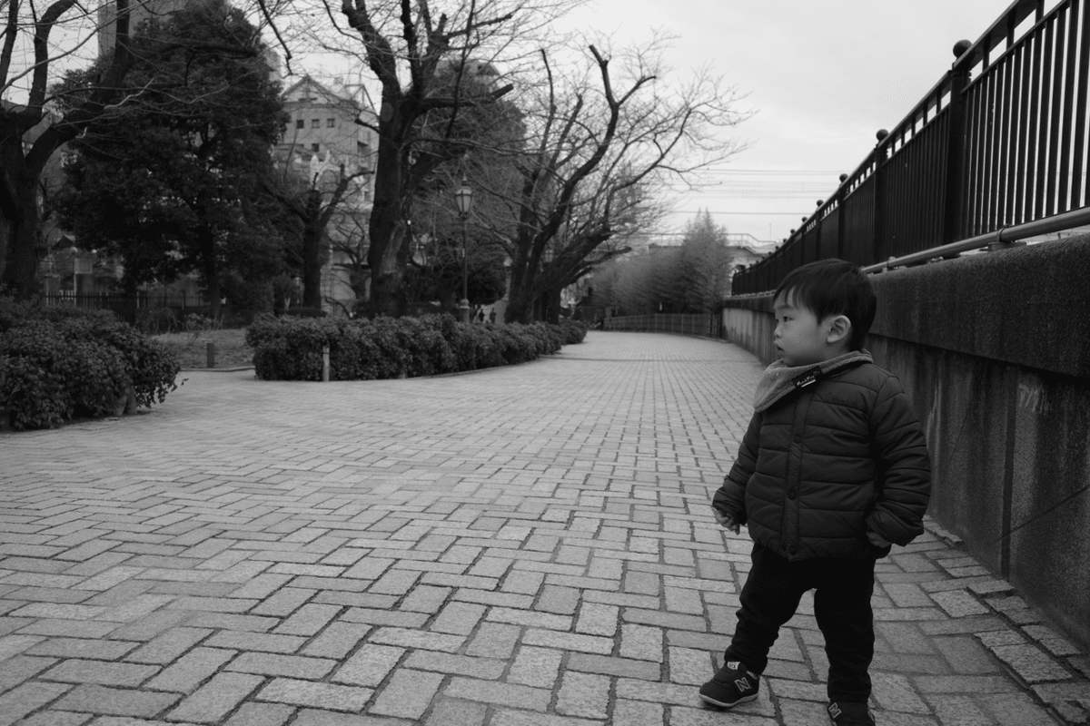 GR3散歩（水天宮〜浅草）｜yuya_aloha