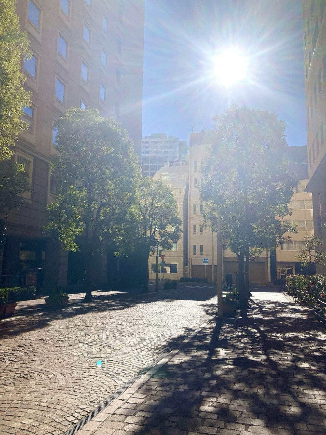 Yusuke Tatsumi｜note