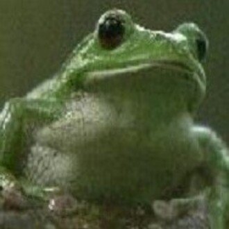 Crytus プロジェクト (クリタス)｜note