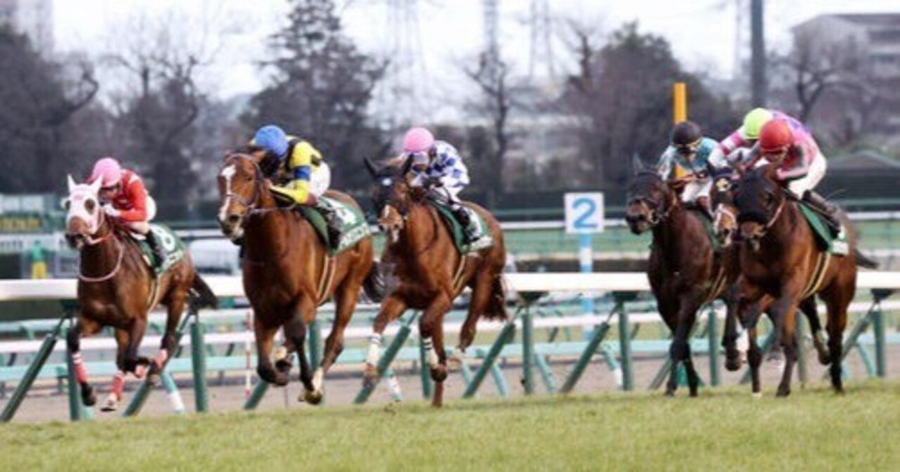 【2024 京成杯（g3）】日刊馬番コンピ指数分析予想篇｜haya