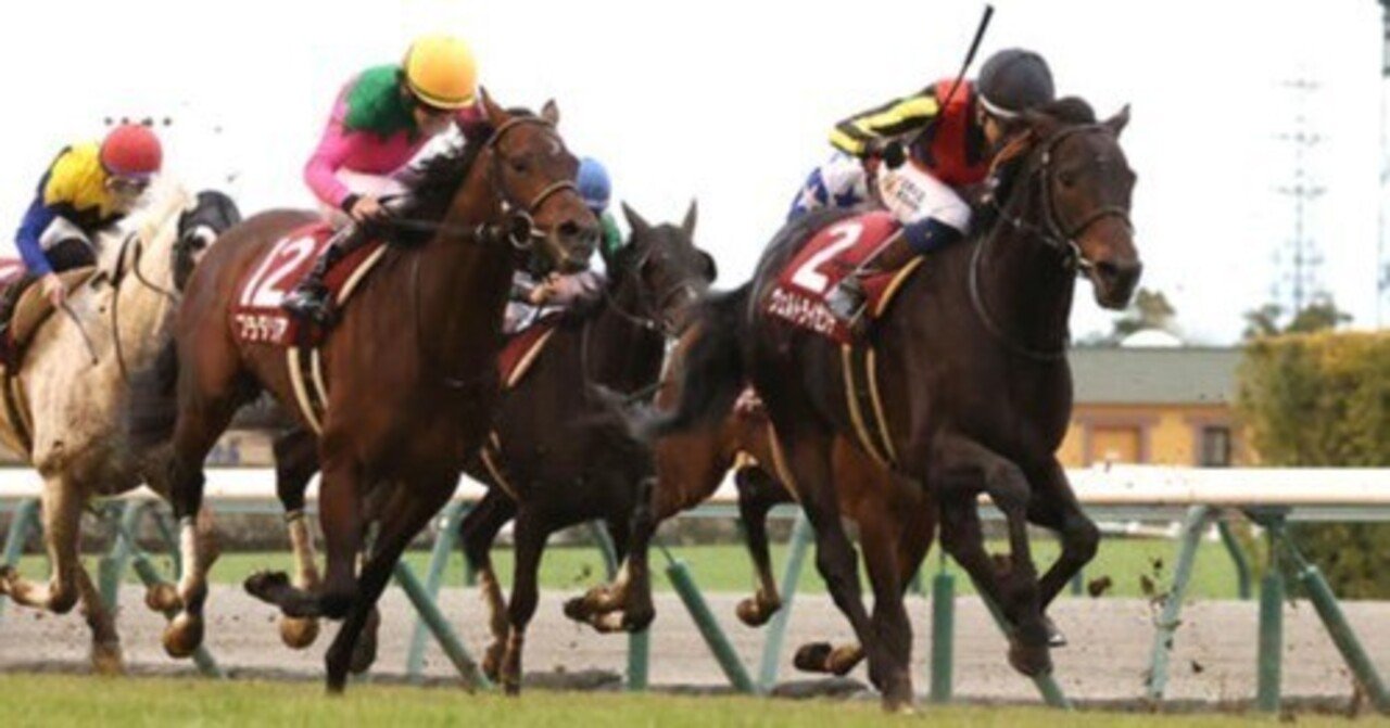 【2024 日経新春杯（g2）】日刊馬番コンピ指数分析予想篇｜haya