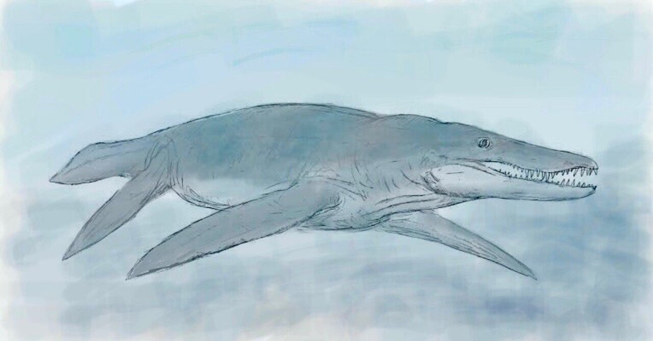 混乱渦巻く:シノプリオサウルス属｜ヤマタノオロチ