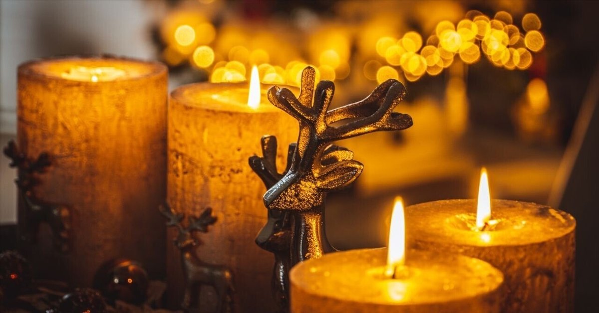 一隅を照らす、これすなわち国宝なり｜小澤 悠(株式会社NEXCENT代表)