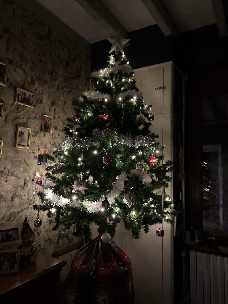 フランス留学 クリスマス｜fr_exchange2324