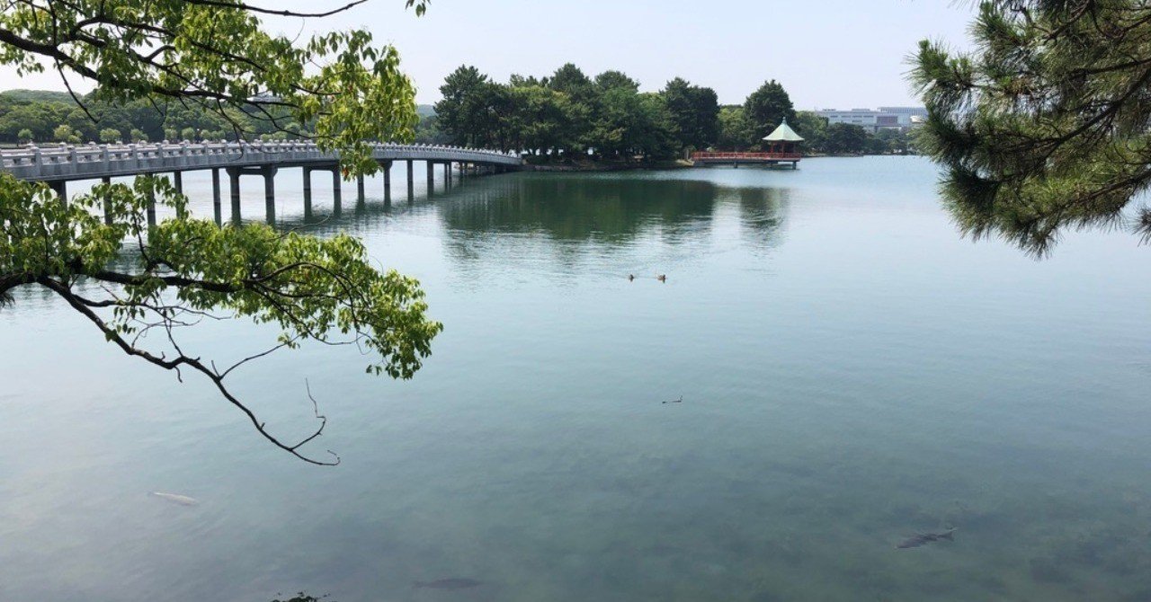 ただしい日本語を追求する理由｜赤坂太一